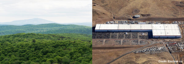 Wood is Nature's Battery | News Articles | Tarm Biomass